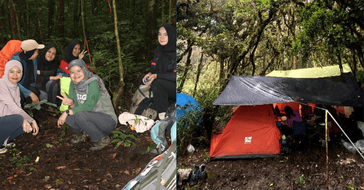 Melihat Langsung Pesona Hutan Lumut di Puncak Gunung Bae Aceh Besar ...