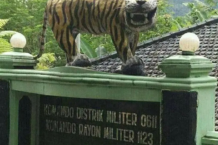 Mengenang Macan Cisewu: dari Lucu Jadi Legenda Internet yang Terlupakan ...