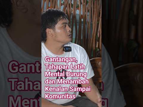 Gantangan Murai Batu 2025, makin rame? – KOMBI.ID