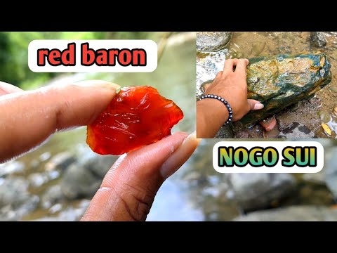 PETUALANG : BATU AKIK RED BARON PACITAN || NATURAL || CHALCEDONY ...
