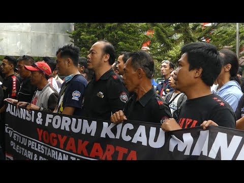Aksi Demo Kicau Mania di BKSDA Yogyakarta – KOMBI.ID