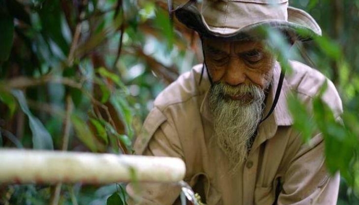 Kisah Sadiman, Lebih dari 20 Tahun Tanam Pohon Beringin di Lereng ...