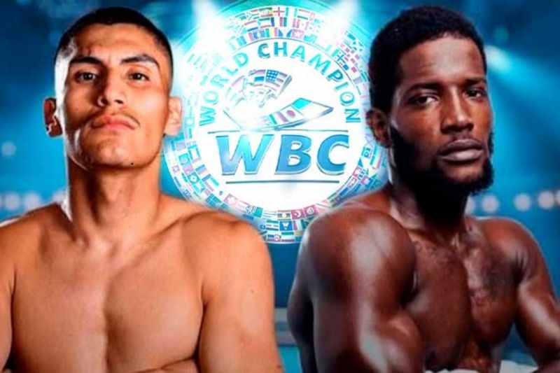 Vergil Ortiz pertaruhkan sabuk juara dunia interim WBC hadapi Lubin ...