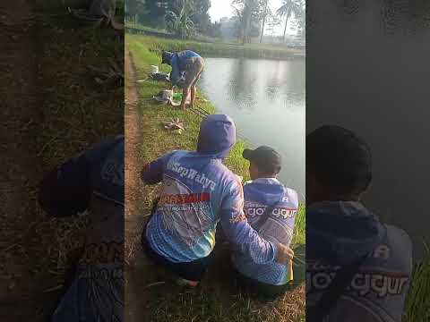 mancing sareng komunitas batan nganggur di Subang lagi mantap p haji # ...