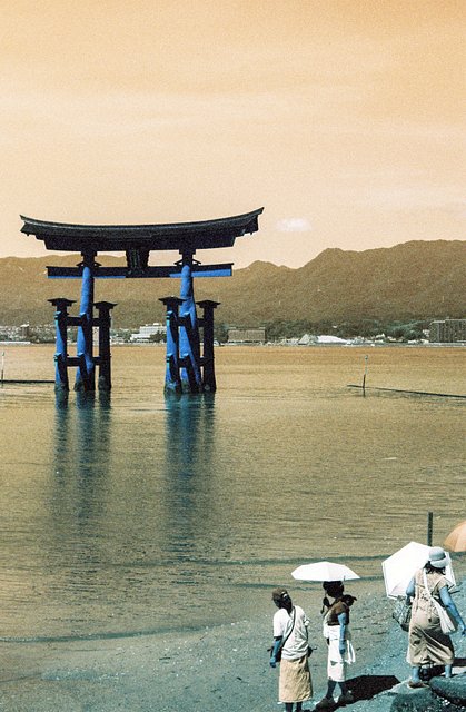 Exploring the Unique Colors of LomoChrome Films in Tokyo with Izzy ...
