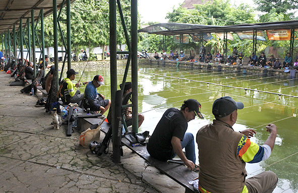 Sasak Liong : 44 Lapak, Minggu Lomba Pelampungan Mas, Hari Biasa Lomba ...