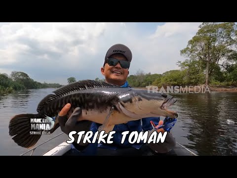 Sensasi Tarikan Kuat Toman Babon | MANCING MANIA STRIKE BACK (19/10/25 ...