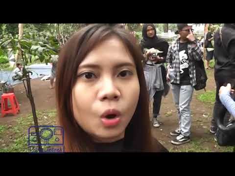 Komunitas Reptil Bandung liputan UJANG JETREK BANDUNG TV part 3 – KOMBI.ID